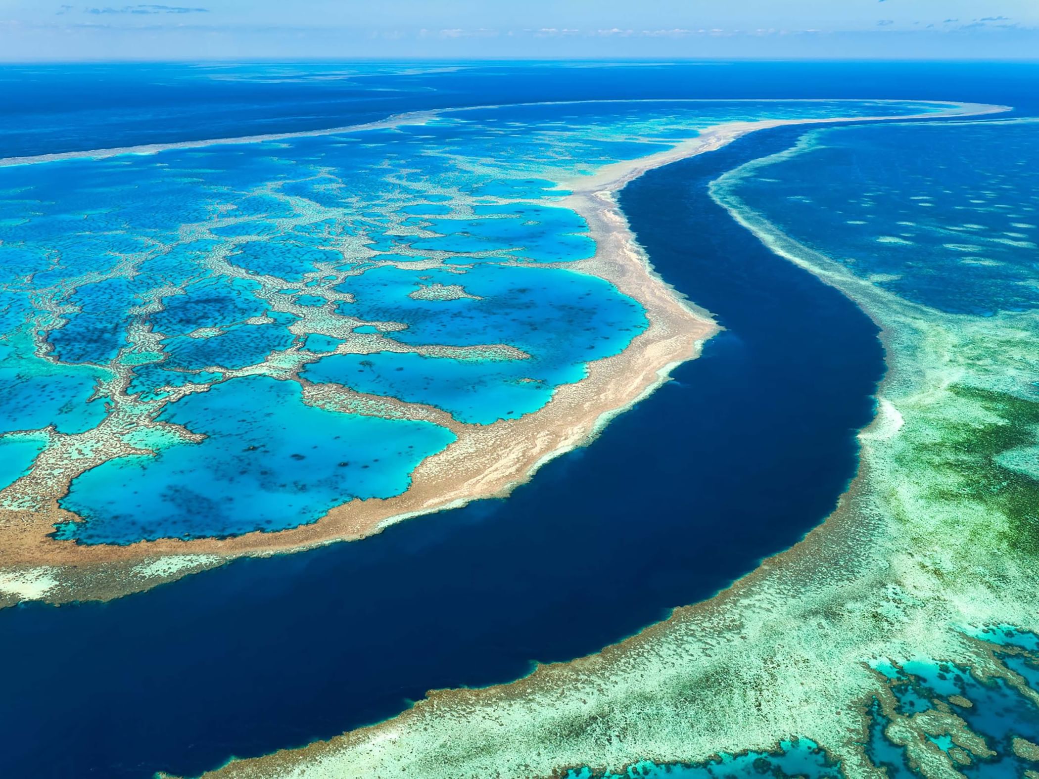 Australia's Great Barrier Reef suffers worst coral decline on record ...