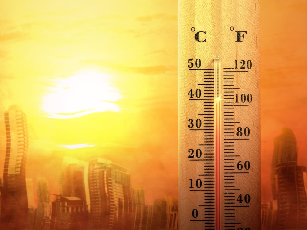 2024 could be world's hottest year as June breaks records | Emirates ... 2024 could be world's hottest year as June breaks records | Emirates ...