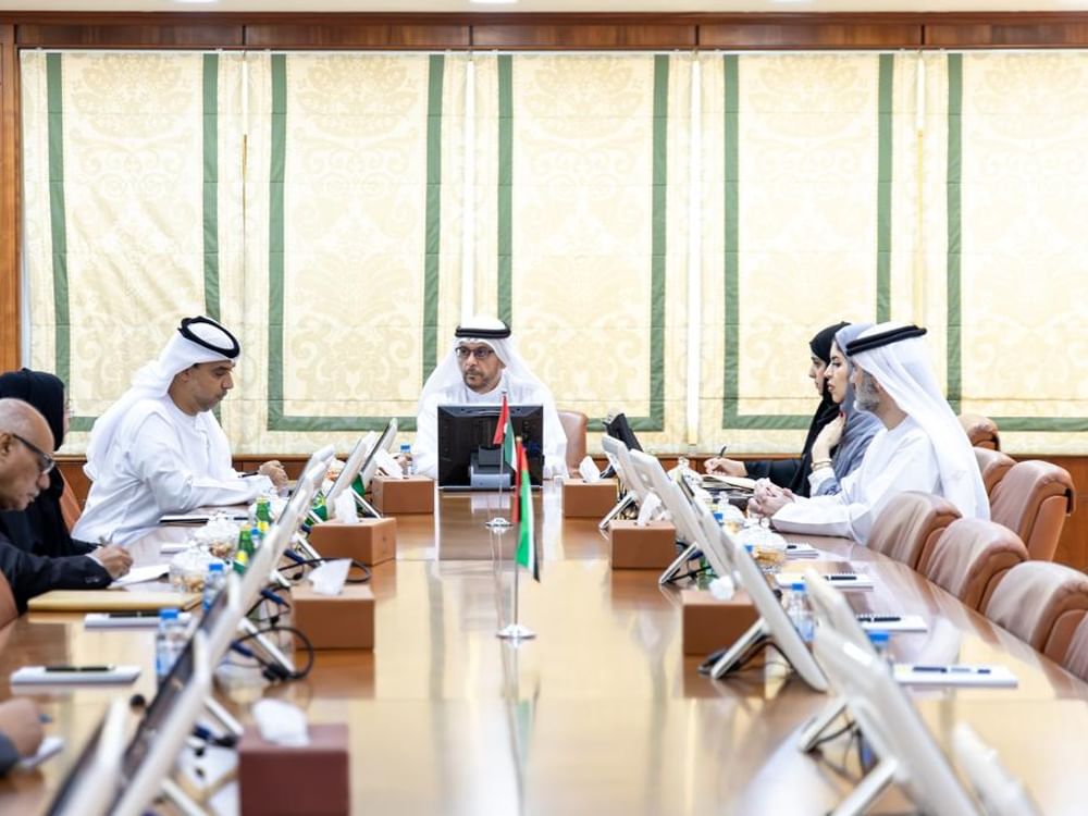 Government entities in Ajman discuss developing emirate's economic ...