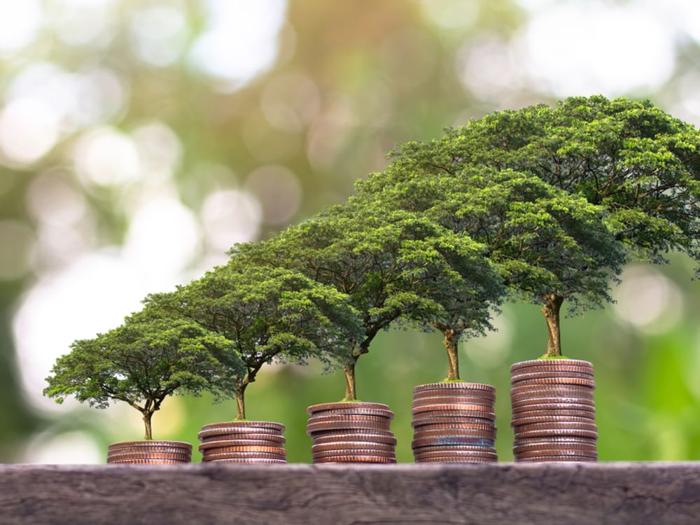 NYU Abu Dhabi Institute organises events on sustainable environment ...