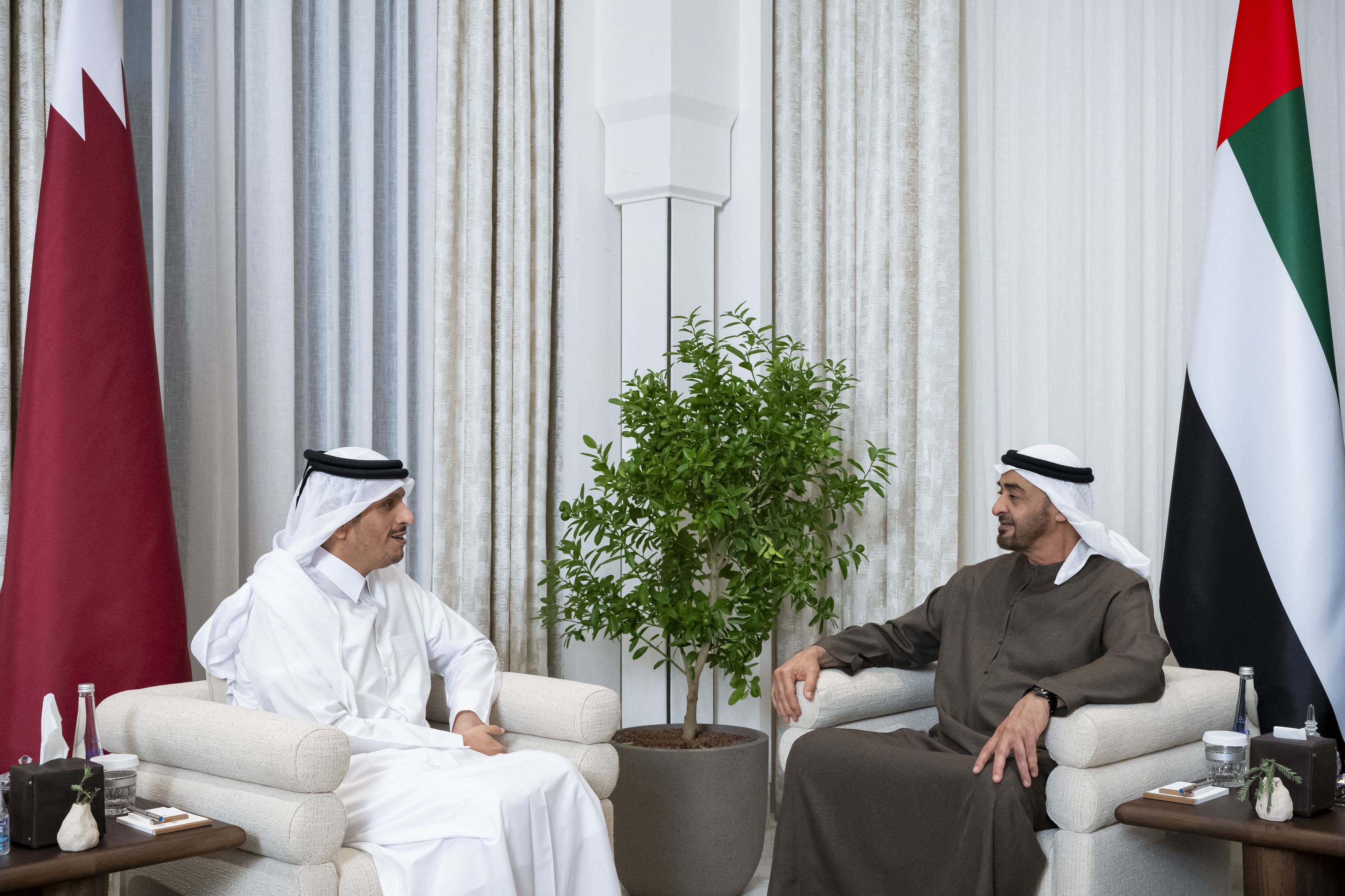 UAE President receives Qatari Prime Minister | Emirates News Agency