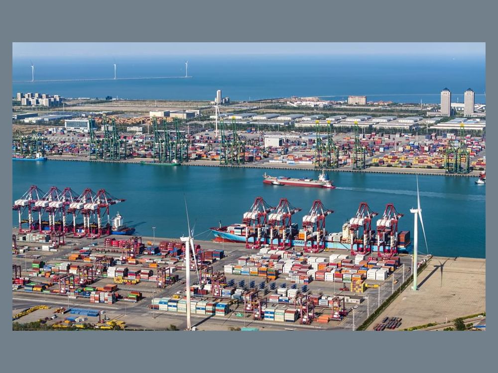 China-SCO trade hits record high as cooperation deepens | Emirates News ...