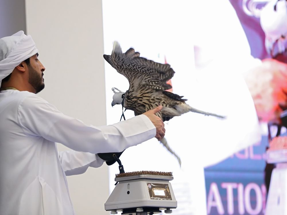 Falconers of the world meet in Abu Dhabi for new falcon auction ...