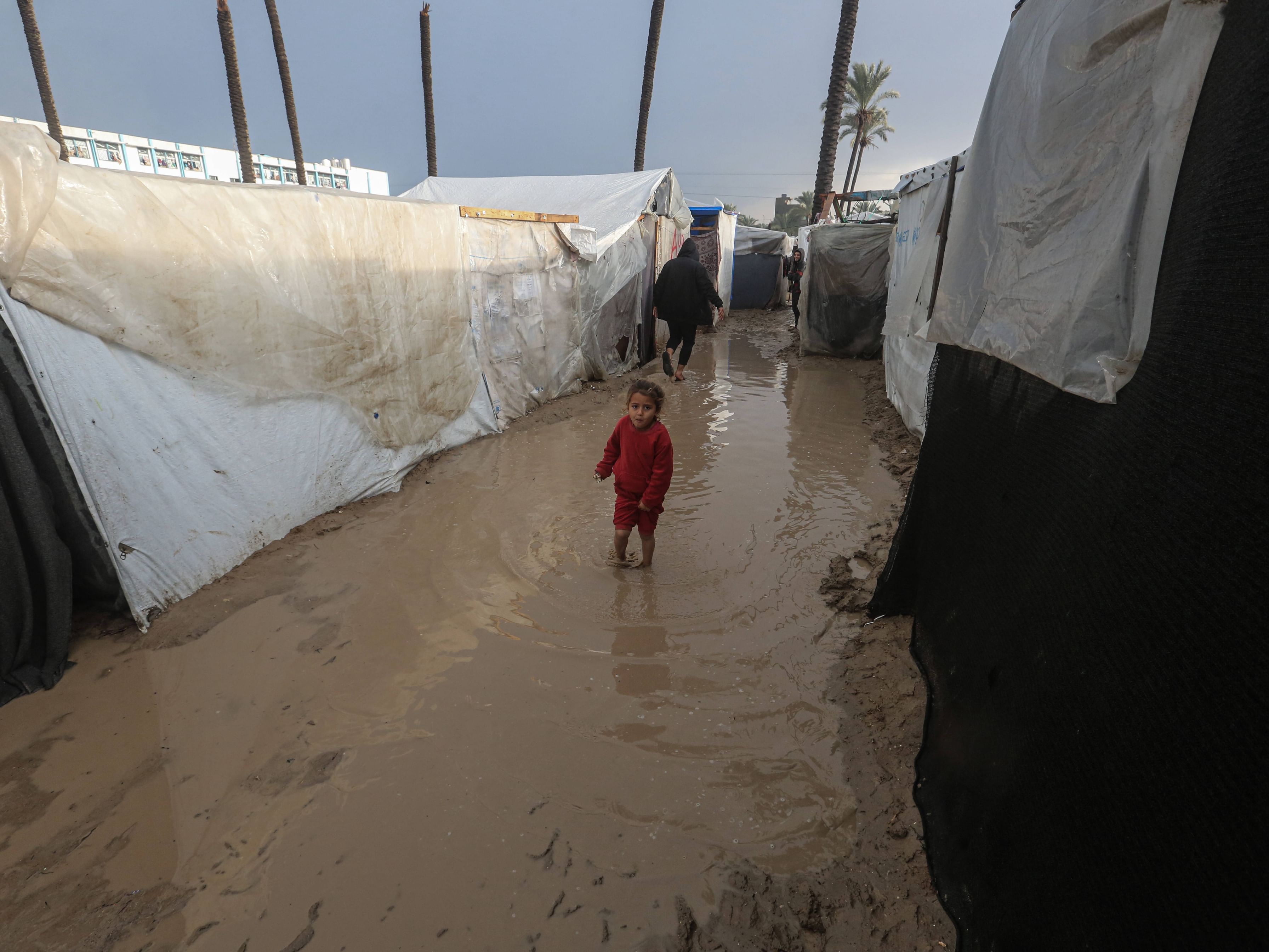 Humanitarian situation in Gaza, West Bank worsens due to Israeli ...