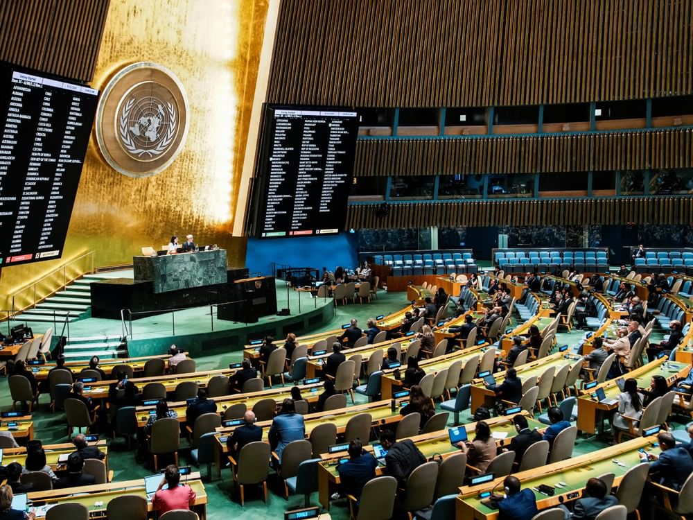 UN General Assembly adopts, by majority of 142 countries, draft ...