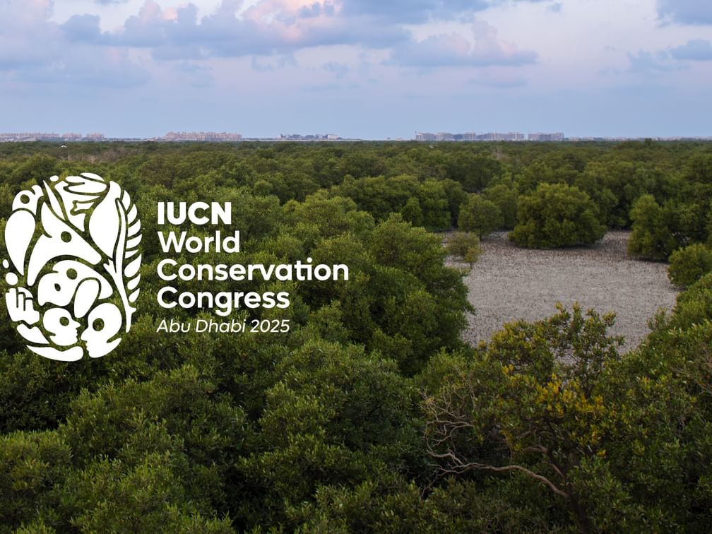 IUCN World Conservation Congress 2025 to foster global environmental ...