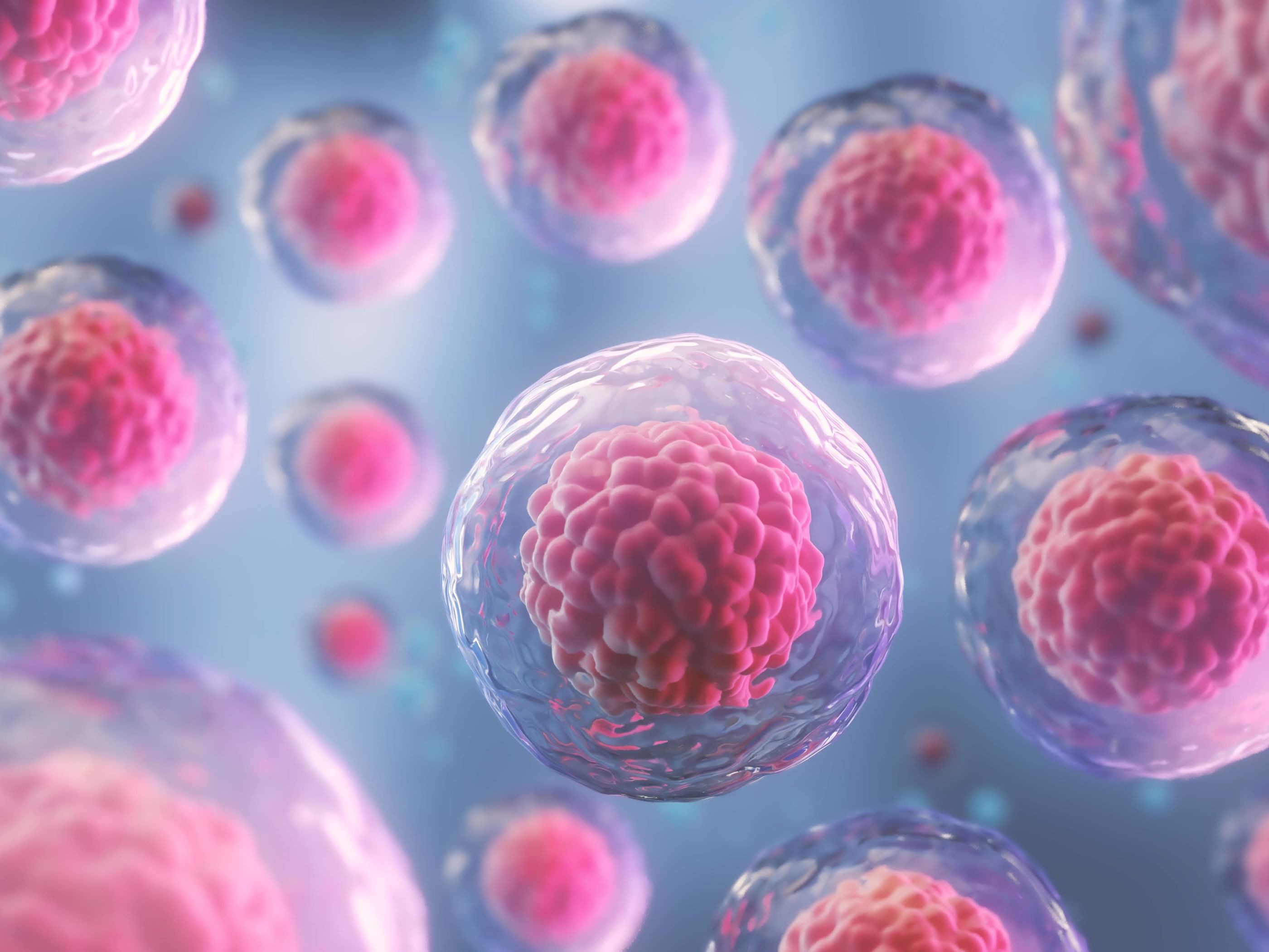 Spaceflight accelerates aging of human blood-forming stem cells, study ...