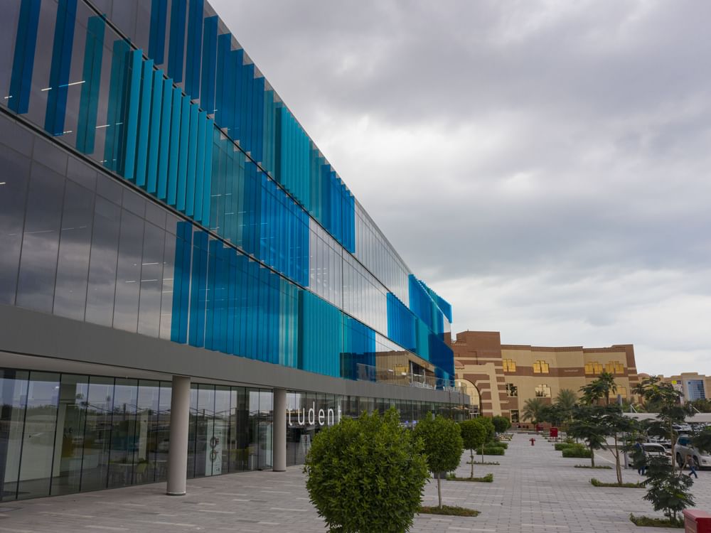 Ajman University launches 'Bachelor of Science in Artificial ...