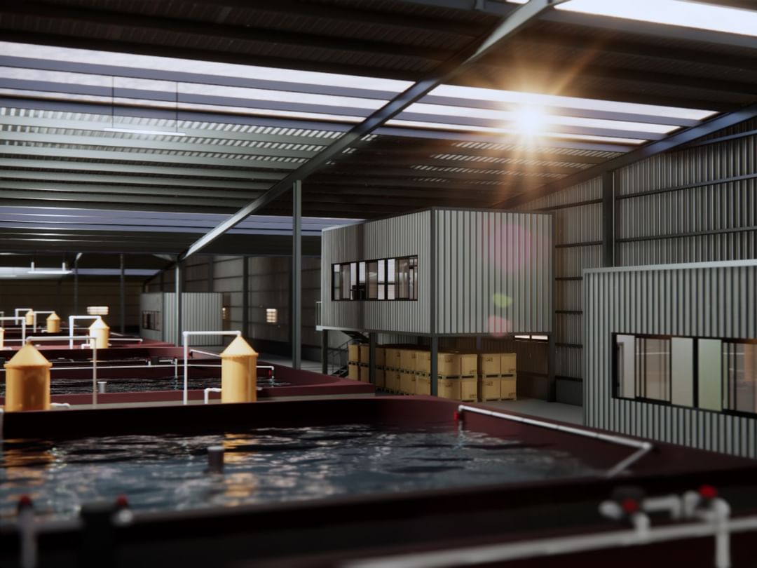 ADQ, Korea's Aqua Development to launch pilot shrimp farming facility ...