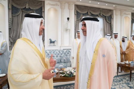 Mohammed bin Rashid, Mohamed bin Zayed receive Rulers of Emirates on ...