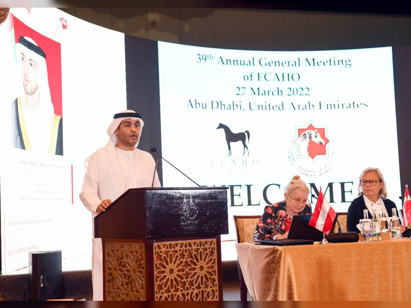 وكالة أنباء الإمارات