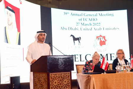 وكالة أنباء الإمارات