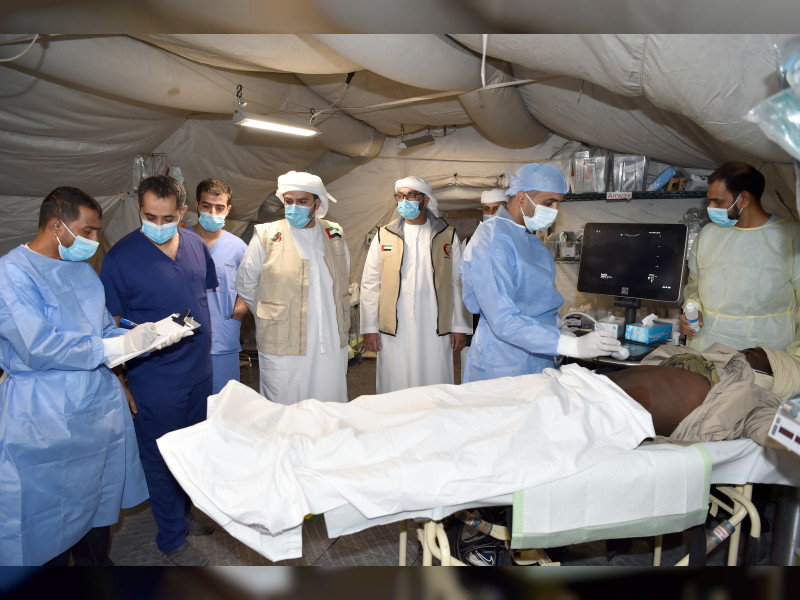 UAE humanitarian delegation visits Chad-based Emirati field hospital in ...