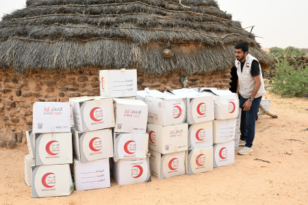 Emirati humanitarian team continues distributing food parcels in ...
