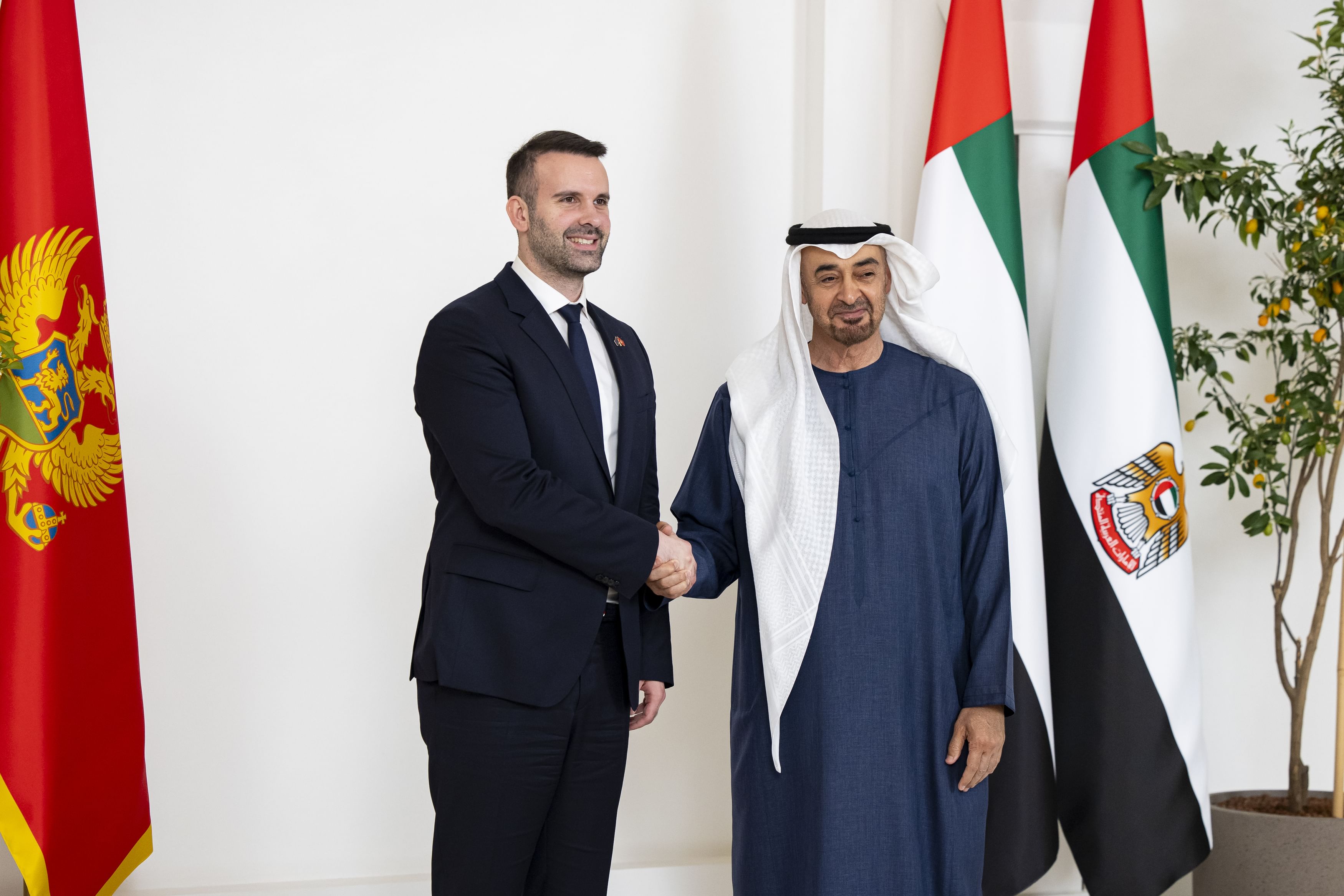 UAE President discusses strengthening bilateral relations with ...