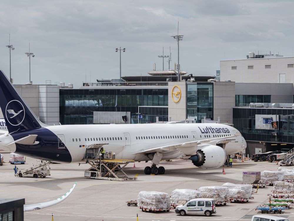 EU's number of air passengers up 8% to over1 billion in 2024 | Emirates ...