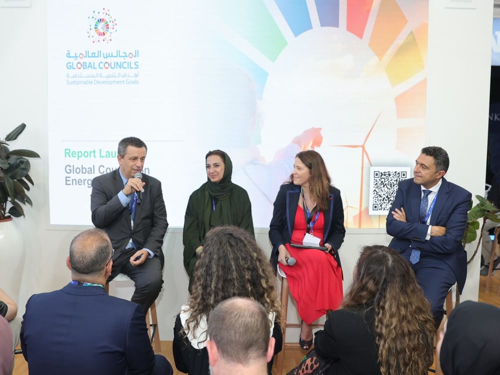 Global Councils on SDGs unveil whitepaper on critical aspects of energy ...